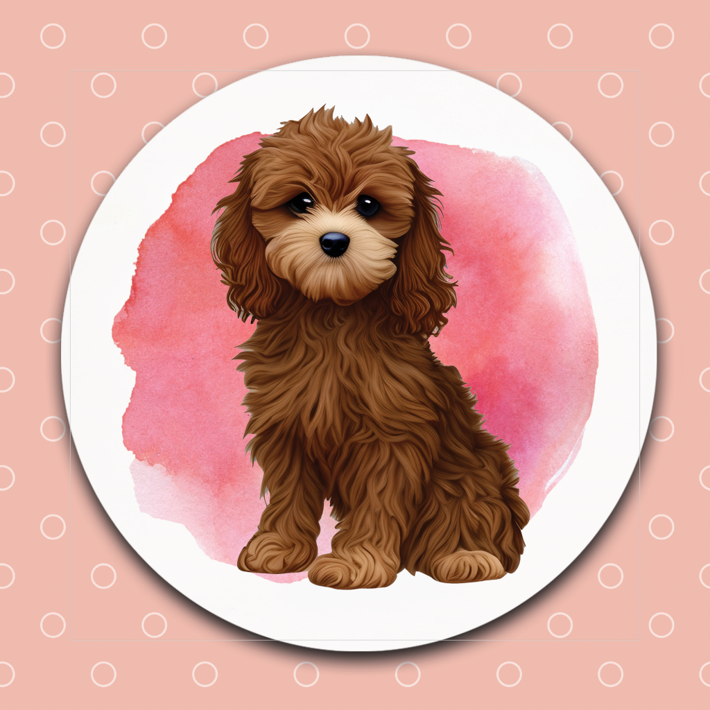 Cavoodle (Design 3) - Emily and Woo