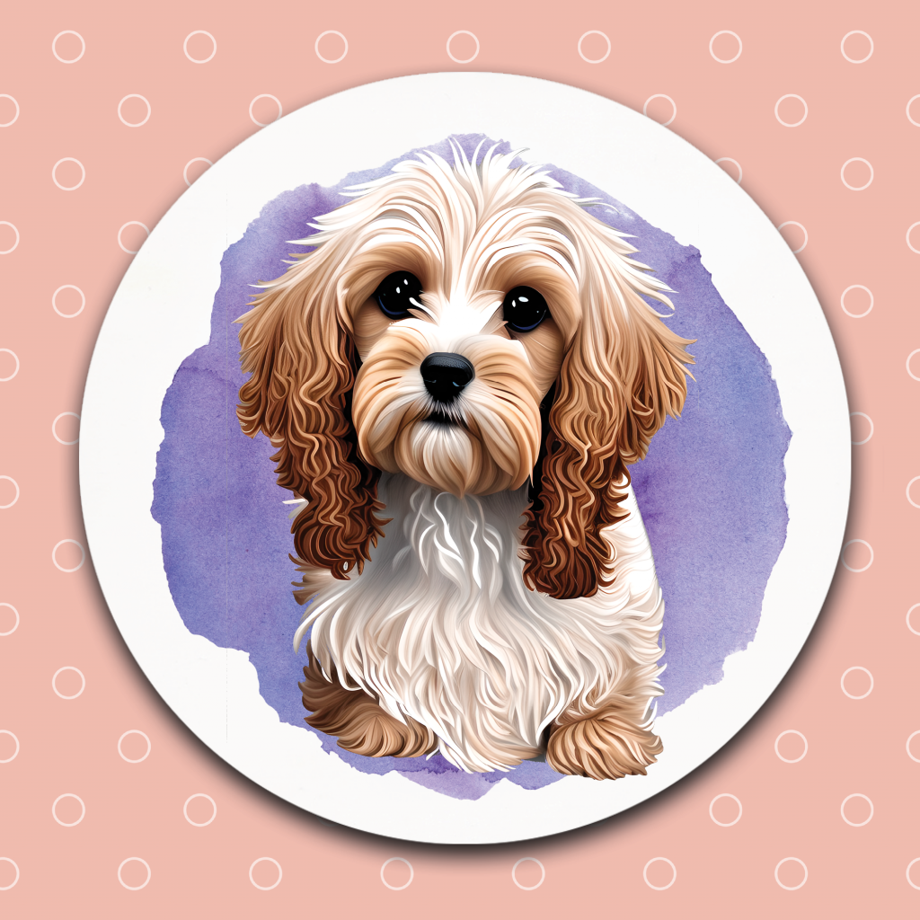 Cavoodle (Design 2) - Emily and Woo